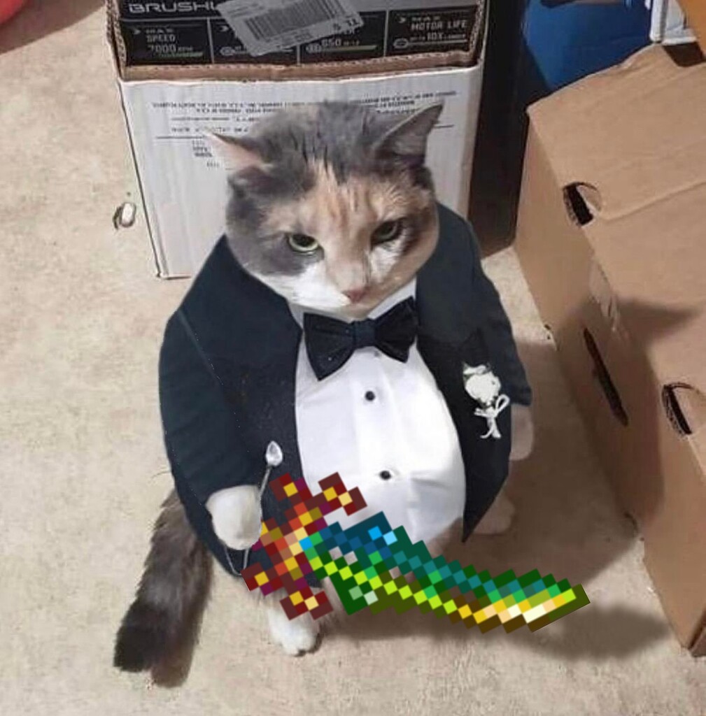 Cats with Terra Blades - Terraria General - Dark Gaming